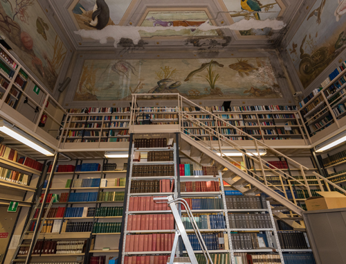 Giurisprudenza | Sistema Bibliotecario di Ateneo - Università di Pisa